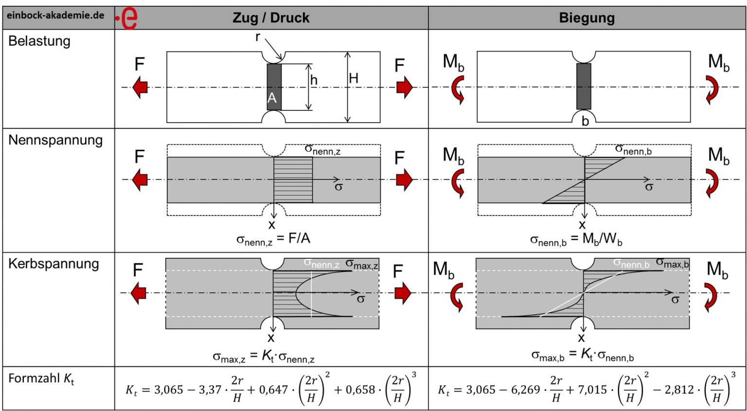 Warum Kerben töten und Bäume kluge Ingenieur:innen sind