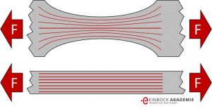 Warum Kerben töten und Bäume kluge Ingenieur:innen sind