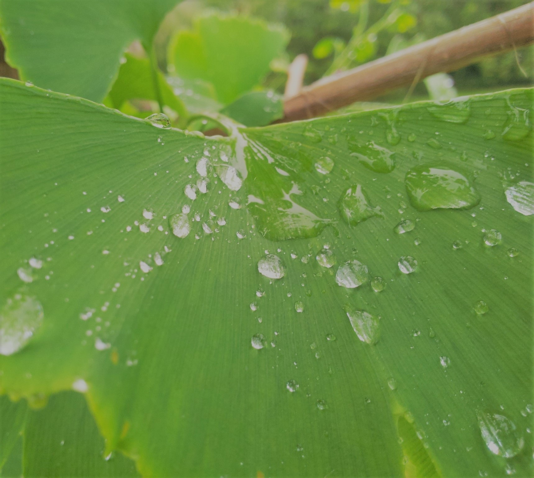 Rainflow-Zählung einfach erklärt. Inkl. Excel Tool! - EINBOCK AKADEMIE